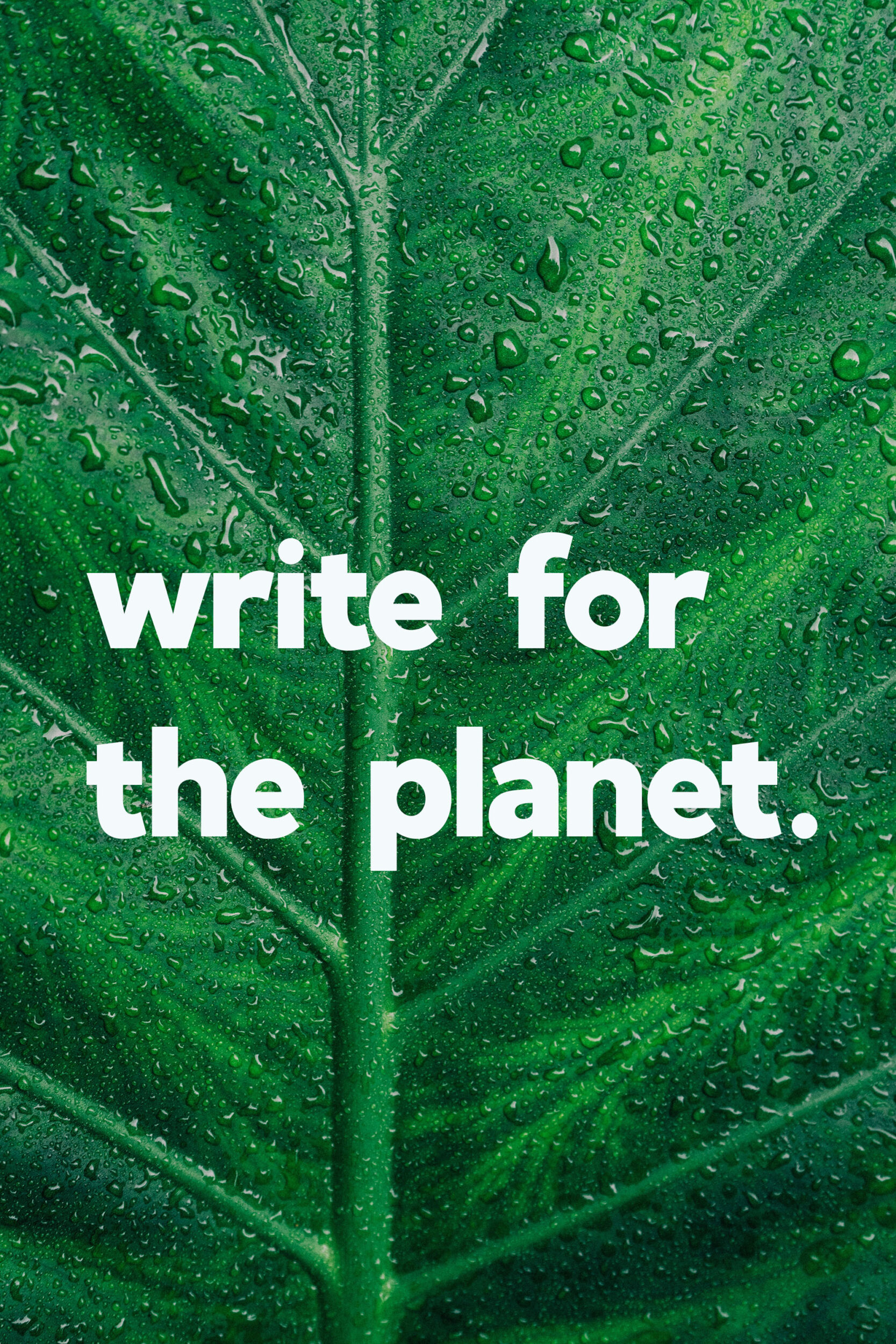 Sustainability. | Pilot